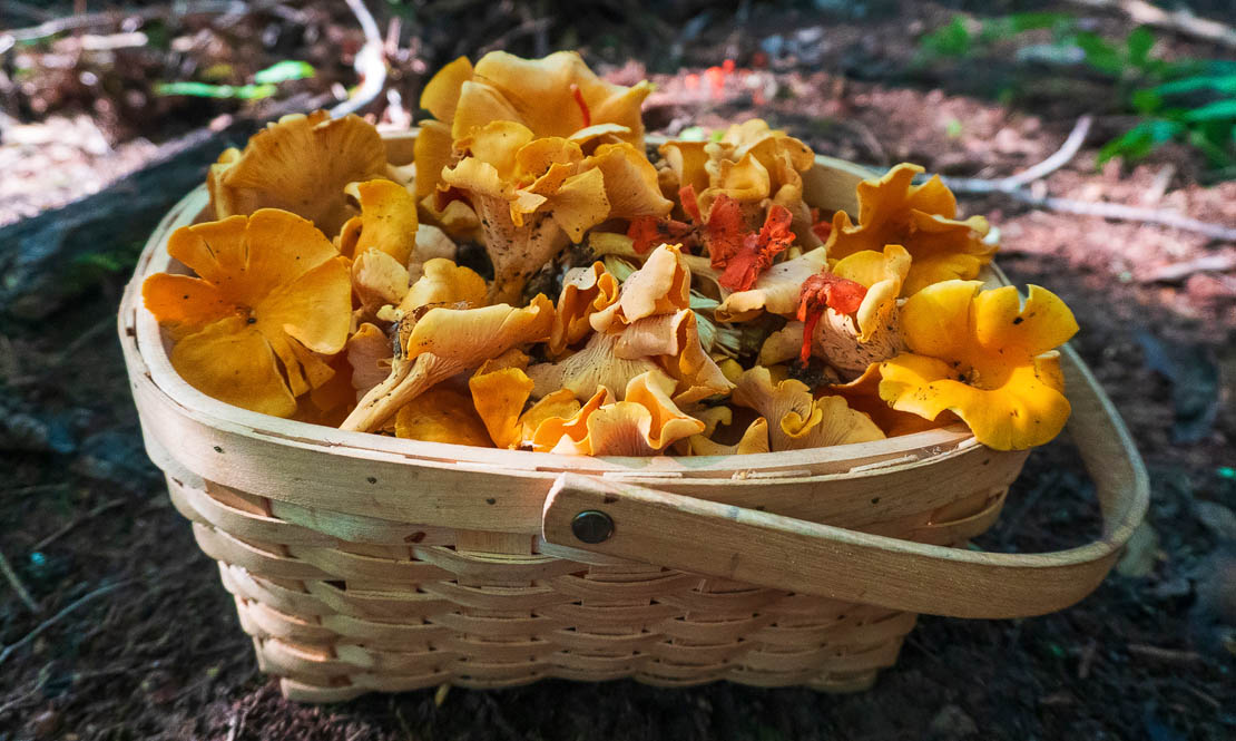 Best Eats of The Highlands - Highland Guide
