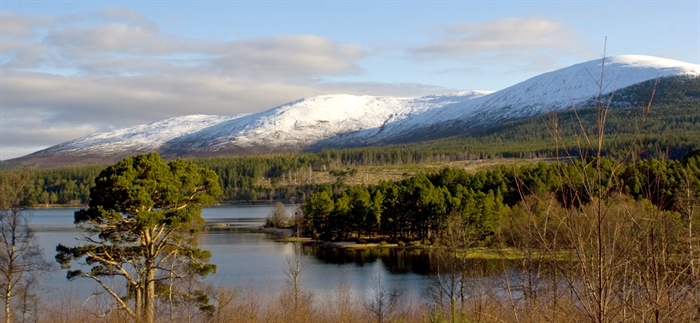 Glenmore - Highland Guide