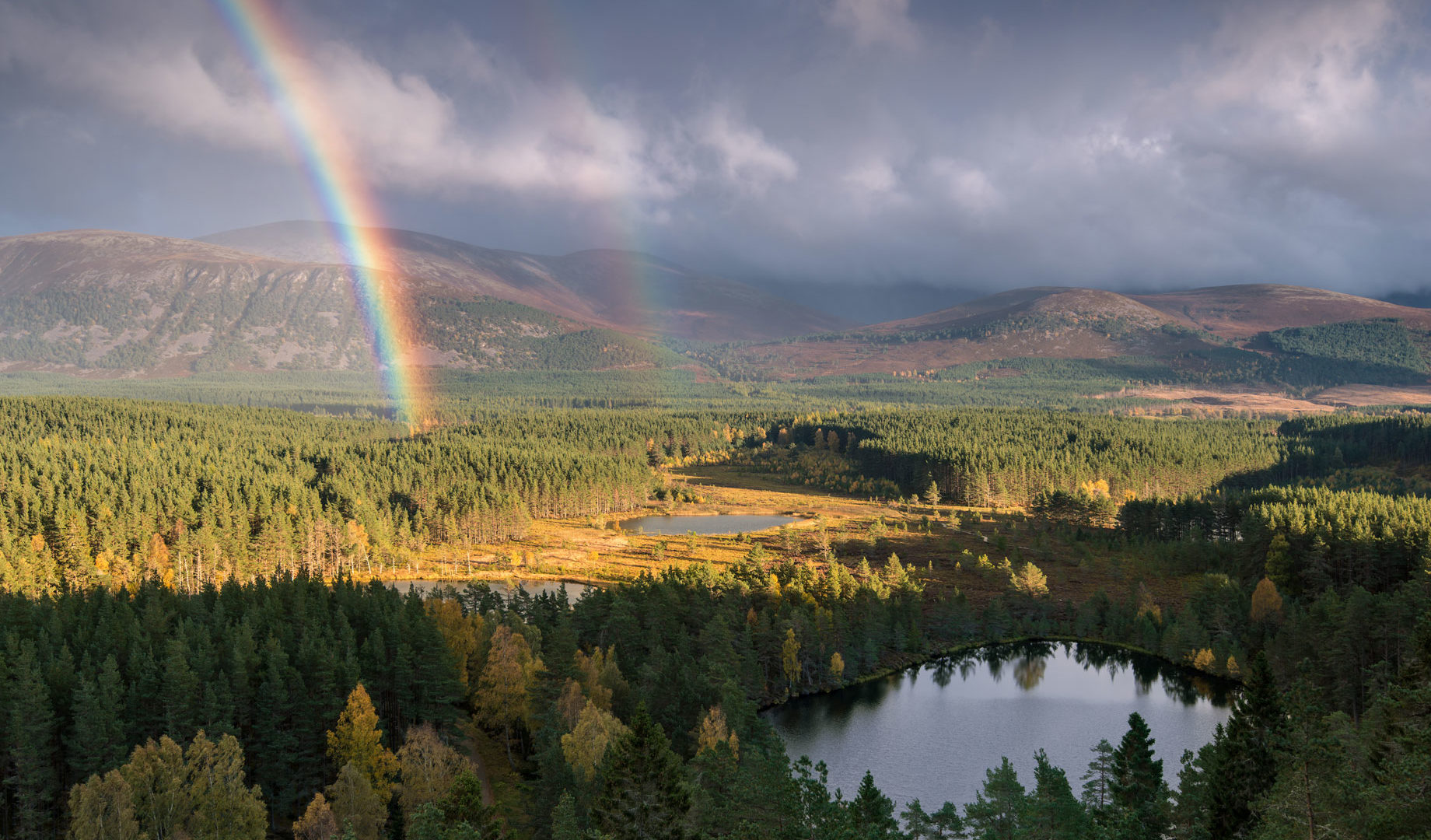 The Best Things to Do in Aviemore - Highland Guide