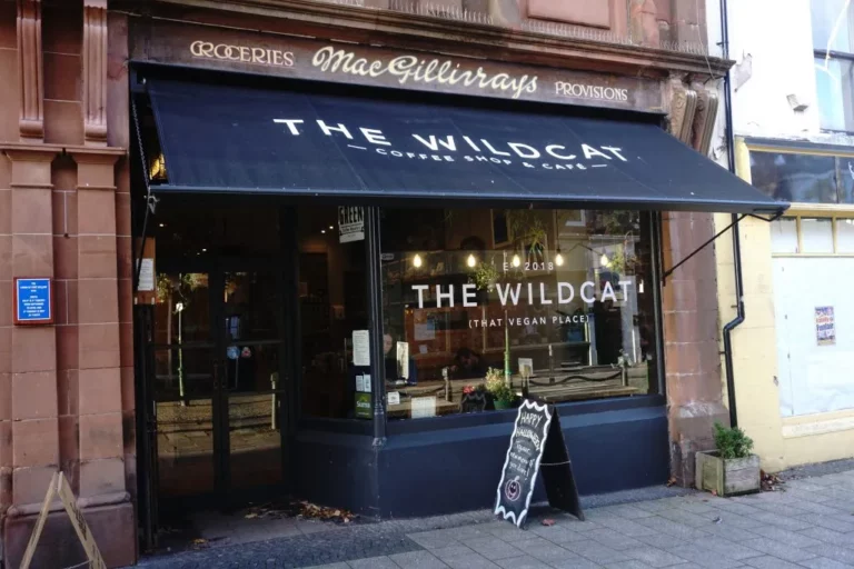 The Wildcat - Highland Guide