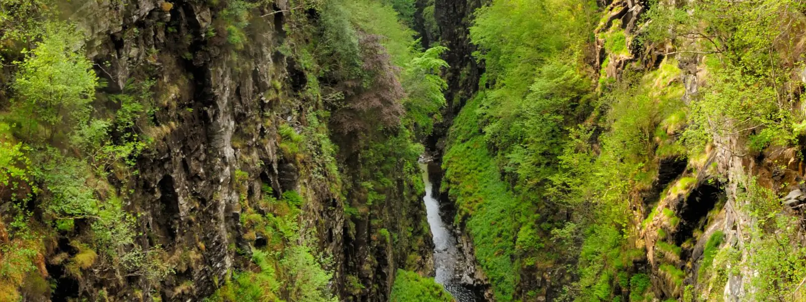 Corrieshalloch Gorge National Nature Reserve - Highland Guide