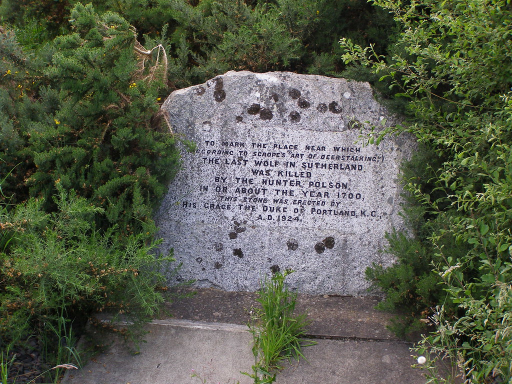 The Wolf Stone - Highland Guide