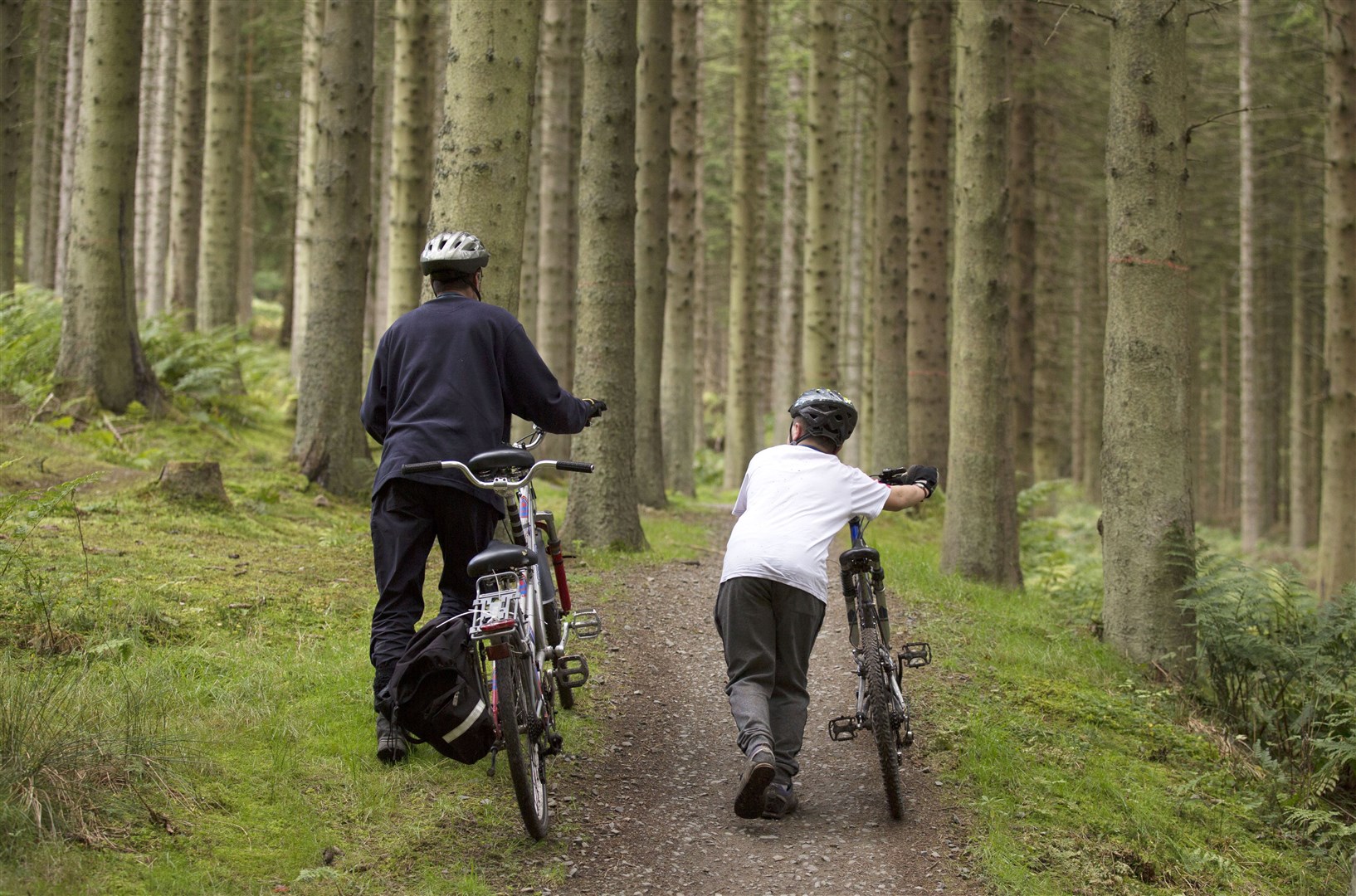 Things To Do in Cromarty - Highland Guide