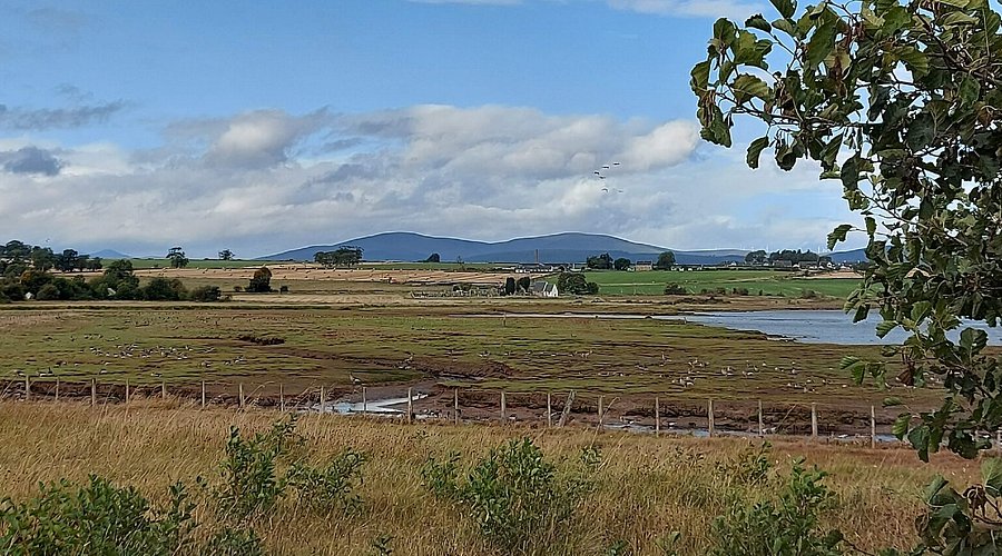 Udale Bay - Highland Guide