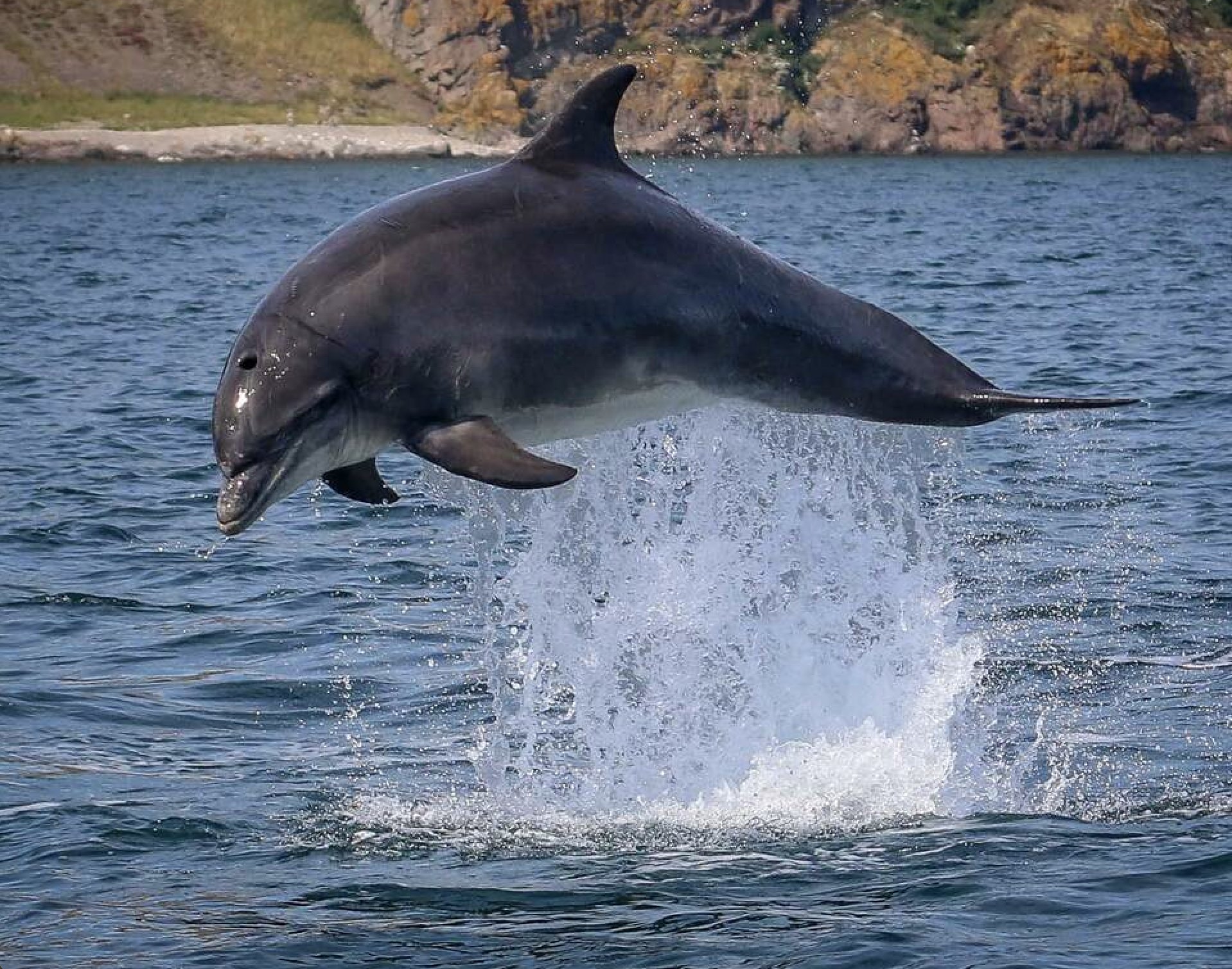 The Best Things to do in Dingwall - Highland Guide