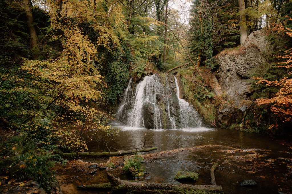 What To Do in Fortrose - Highland Guide