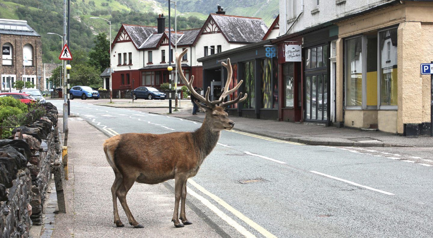 Discovering Kinlochleven - Highland Guide